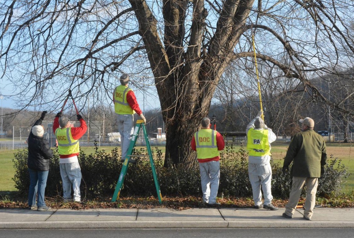 PA Environment Digest Blog: DCNR, Corrections Collaboration To Teach ...