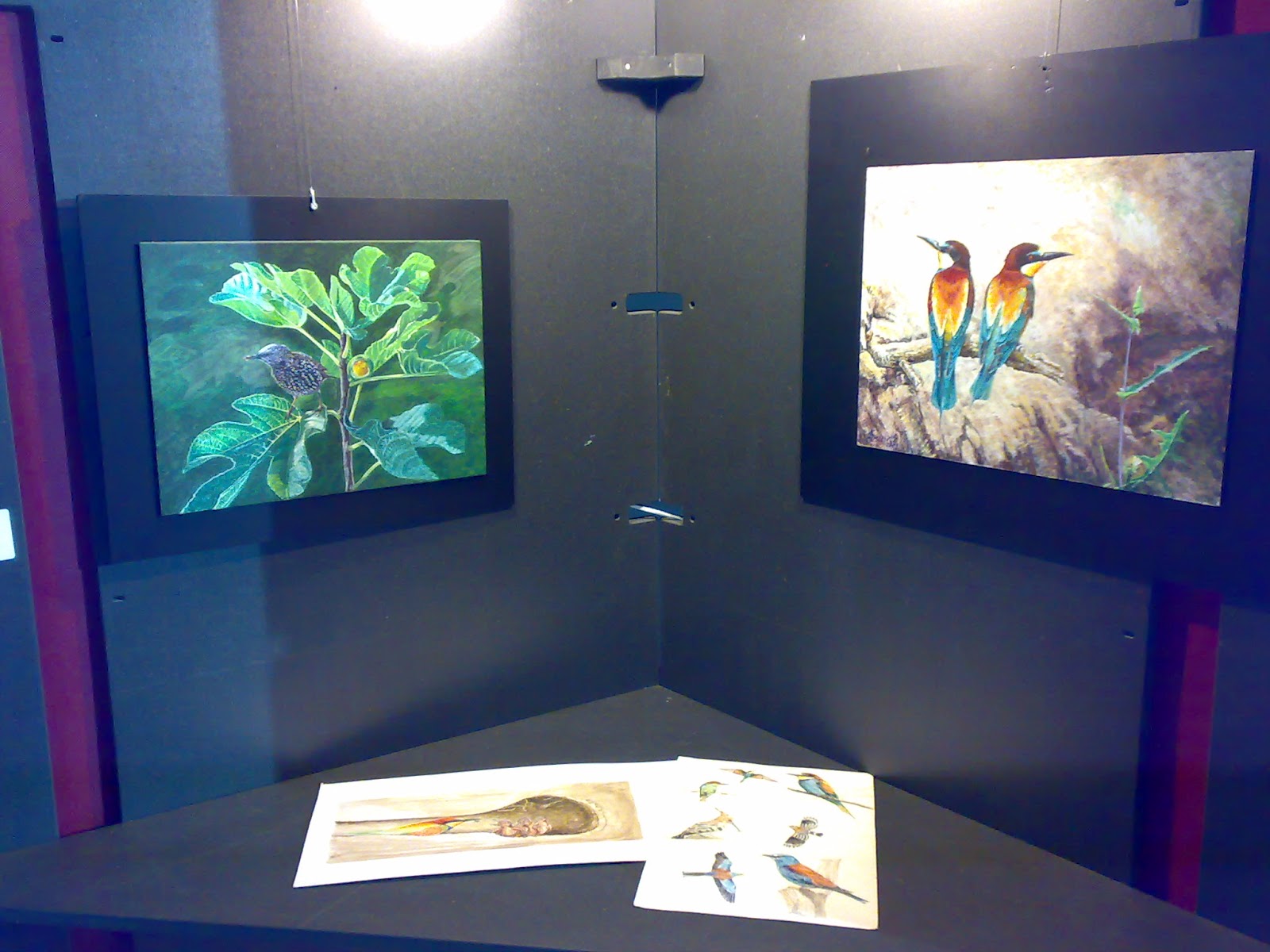 Alessandro Sacchetti - Wildlife Painter: La tappa della mostra "in ...