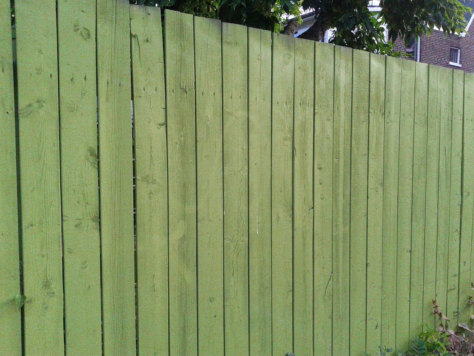 Toronto things: Stock photo: Light green wood fence