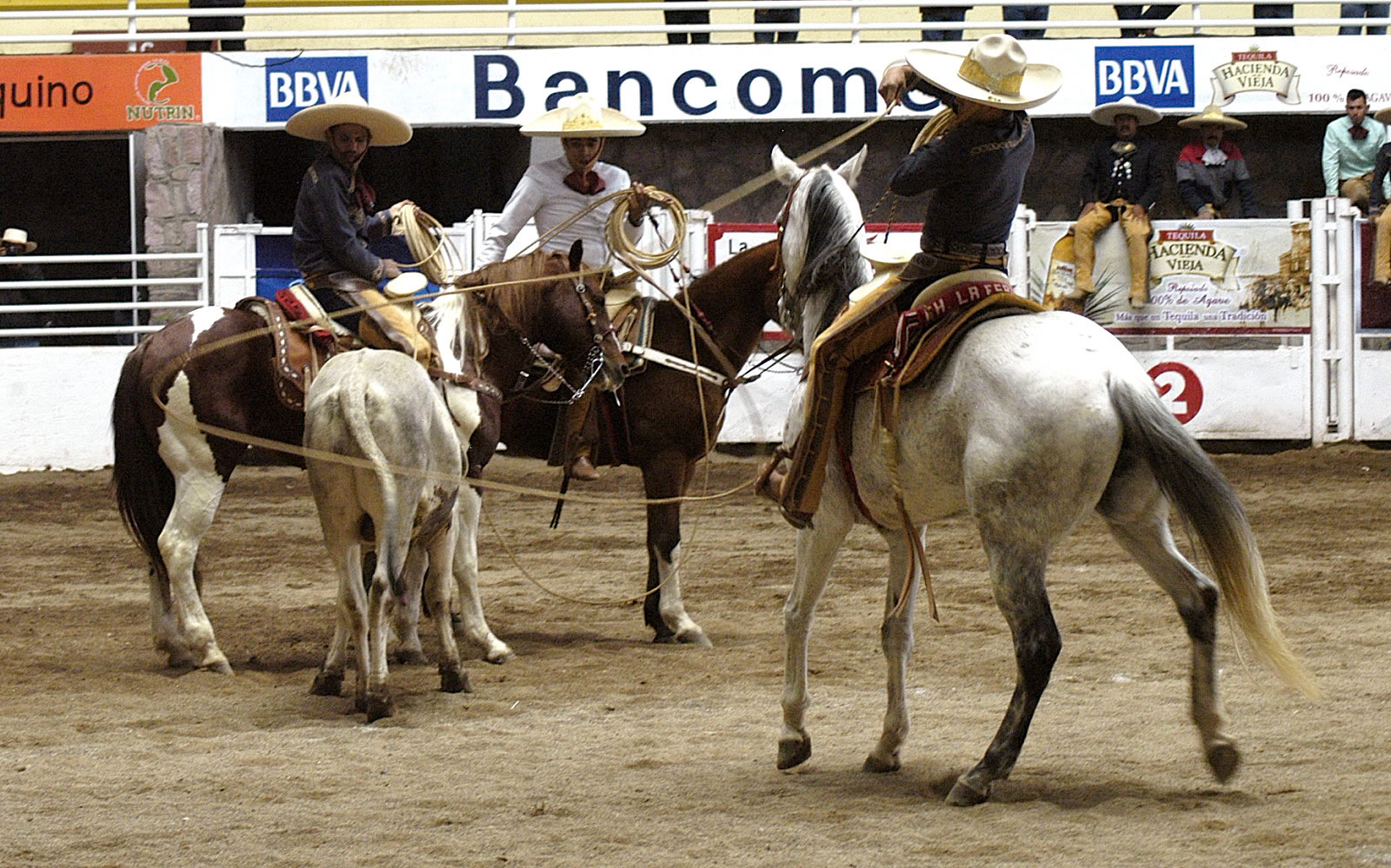 mundo charro: suertes charras: terna en el ruedo (LC y PR)*