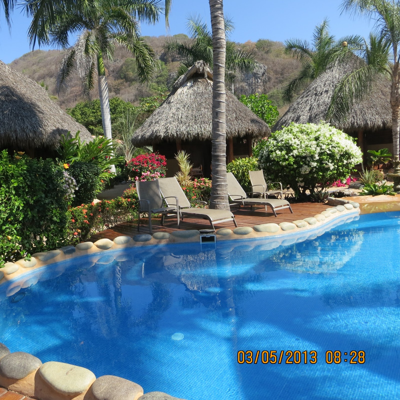 Here we go again......!: At La Playa Troncones, Guerrero, Mx