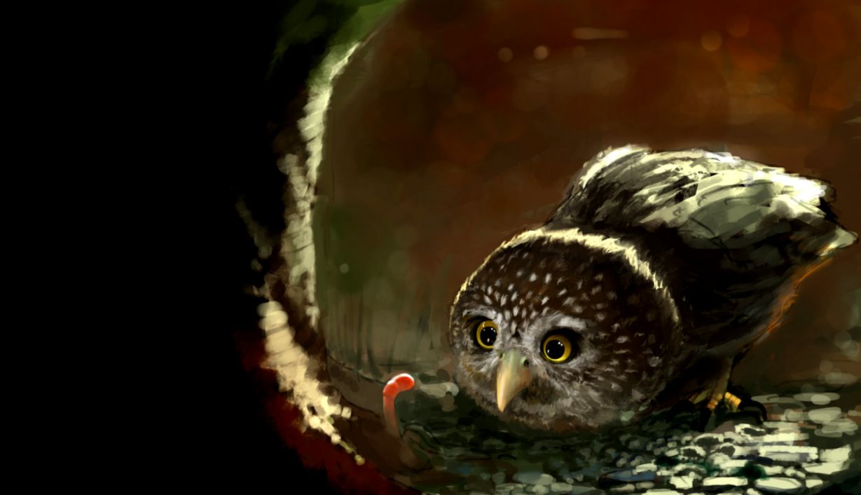Art Bird Owl Worm Hd Wallpaper | Best Wallpapers HD Gallery