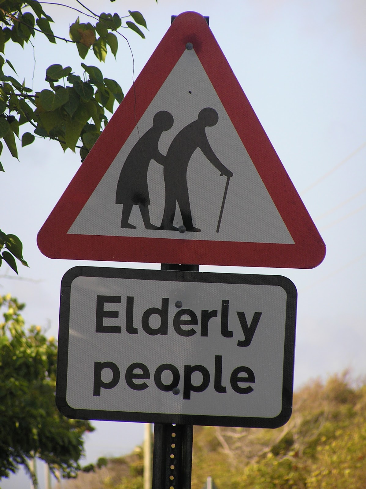 Splendid Little Stars: signs