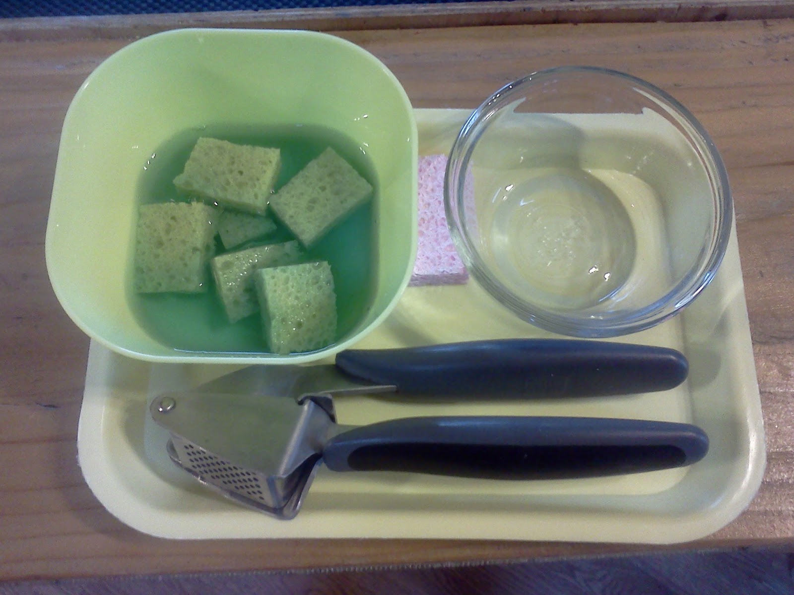 Montessori Design: Sponge Squeezing With a Garlic Press