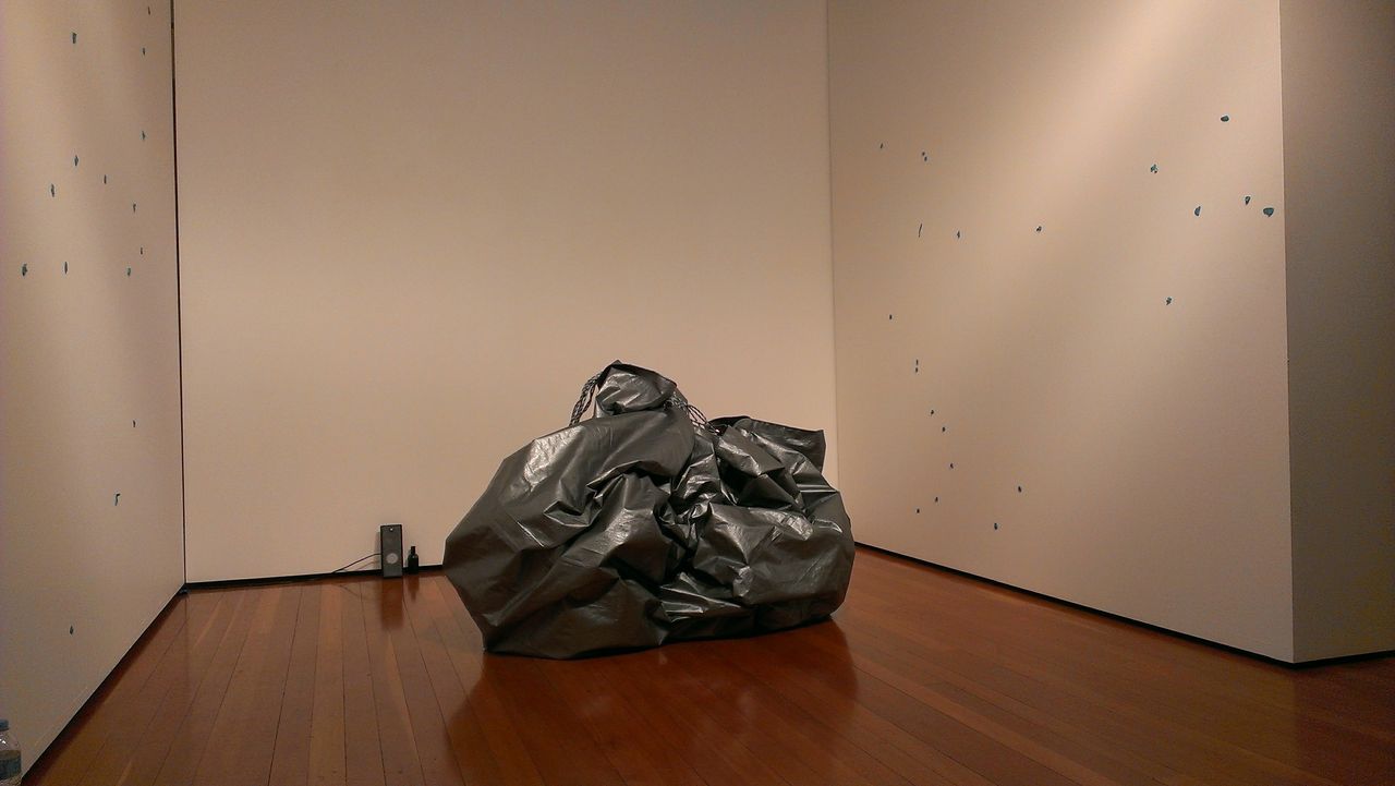 sixtoeight.net: Artereal Gallery - Pas de deux for a noble savage ...