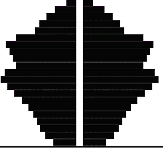 Pengertian Piramida Penduduk, Komposisi Penduduk Dan Piramida Stasioner ...