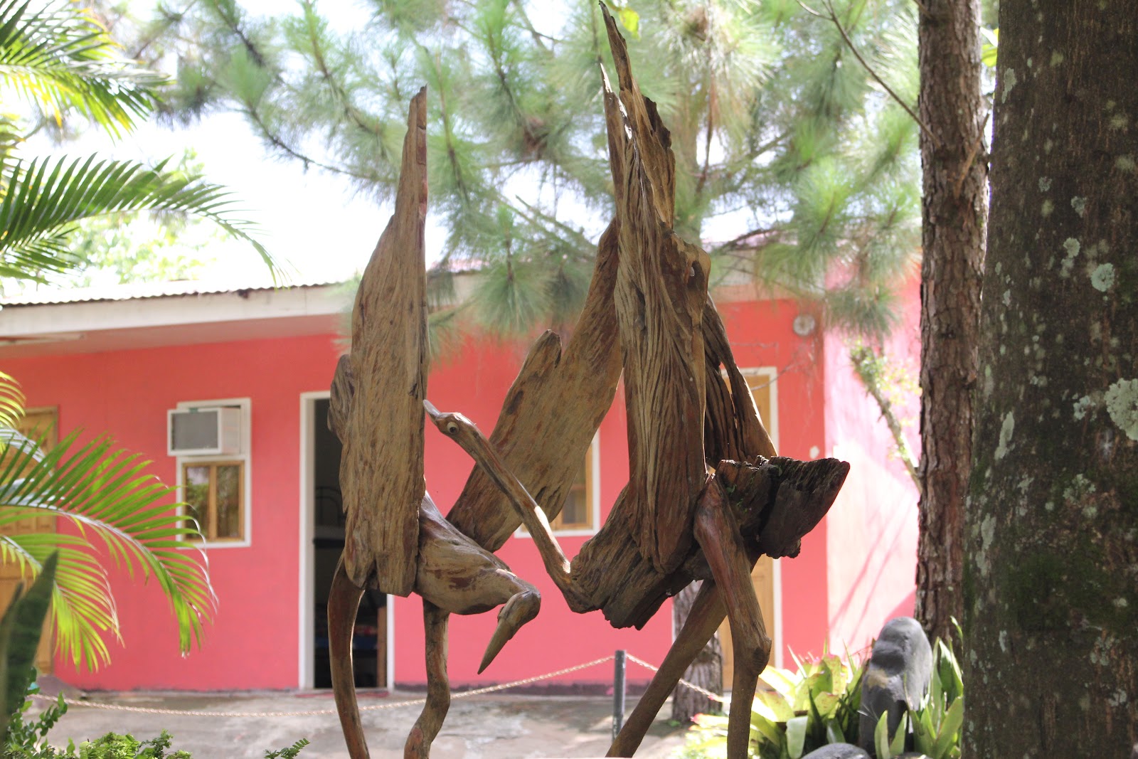 Virgilio Zeus Mendoza II - BUKIDNON NATIVE BACKPACKER TRAVELLER- : Waig ...