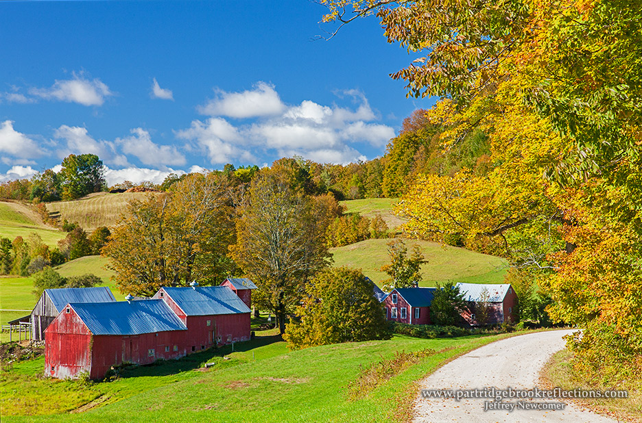 Getting it Right in the Digital Camera : Photographic Preservation of ...
