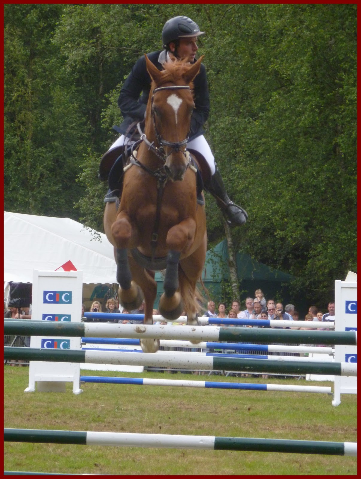 Nature et Vénerie - Carine Thouvenin (Lumiixx): Fête du Cheval - Forges ...