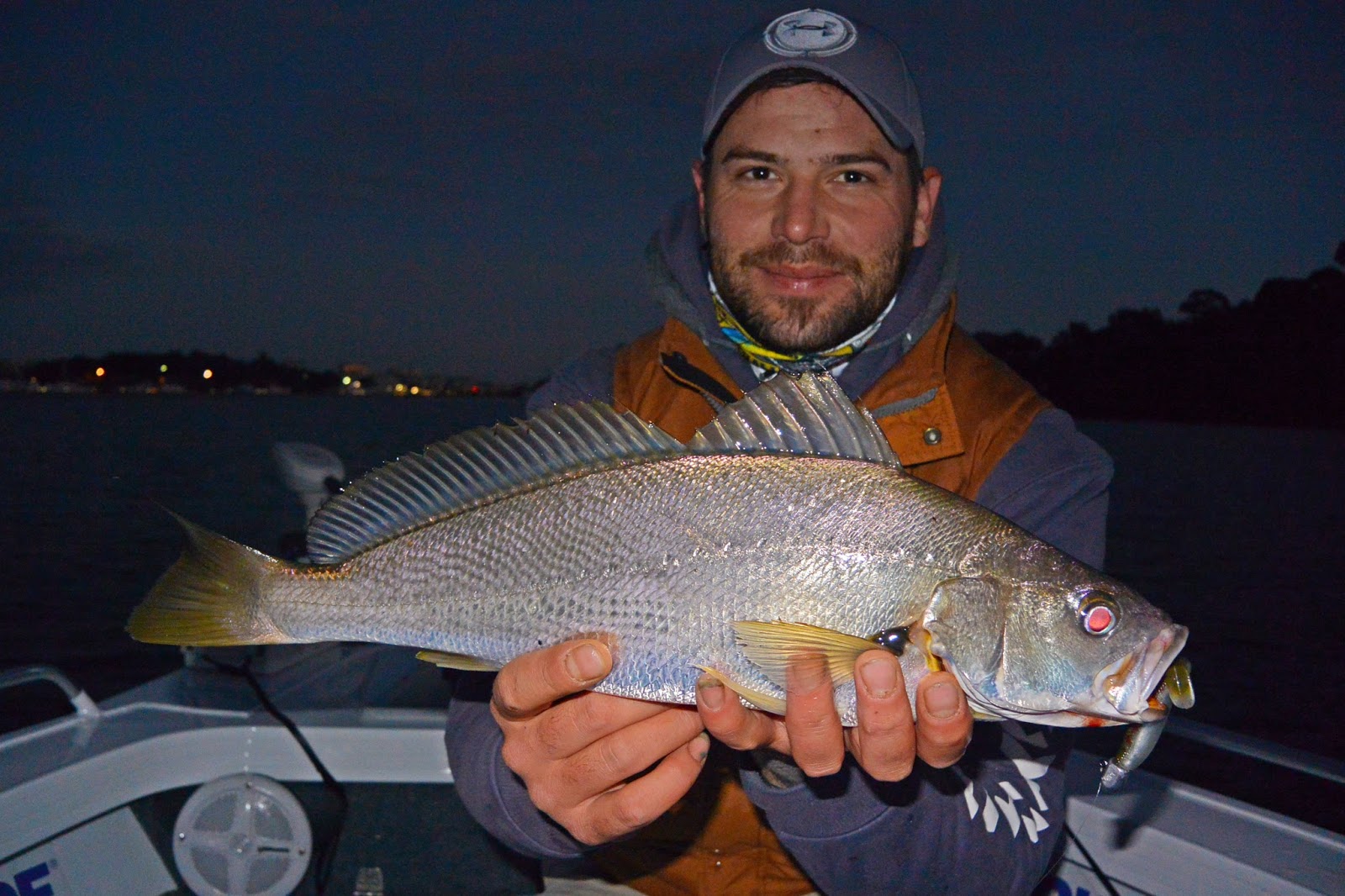 The Fish Cure: THE MULLOWAY CIRCLE