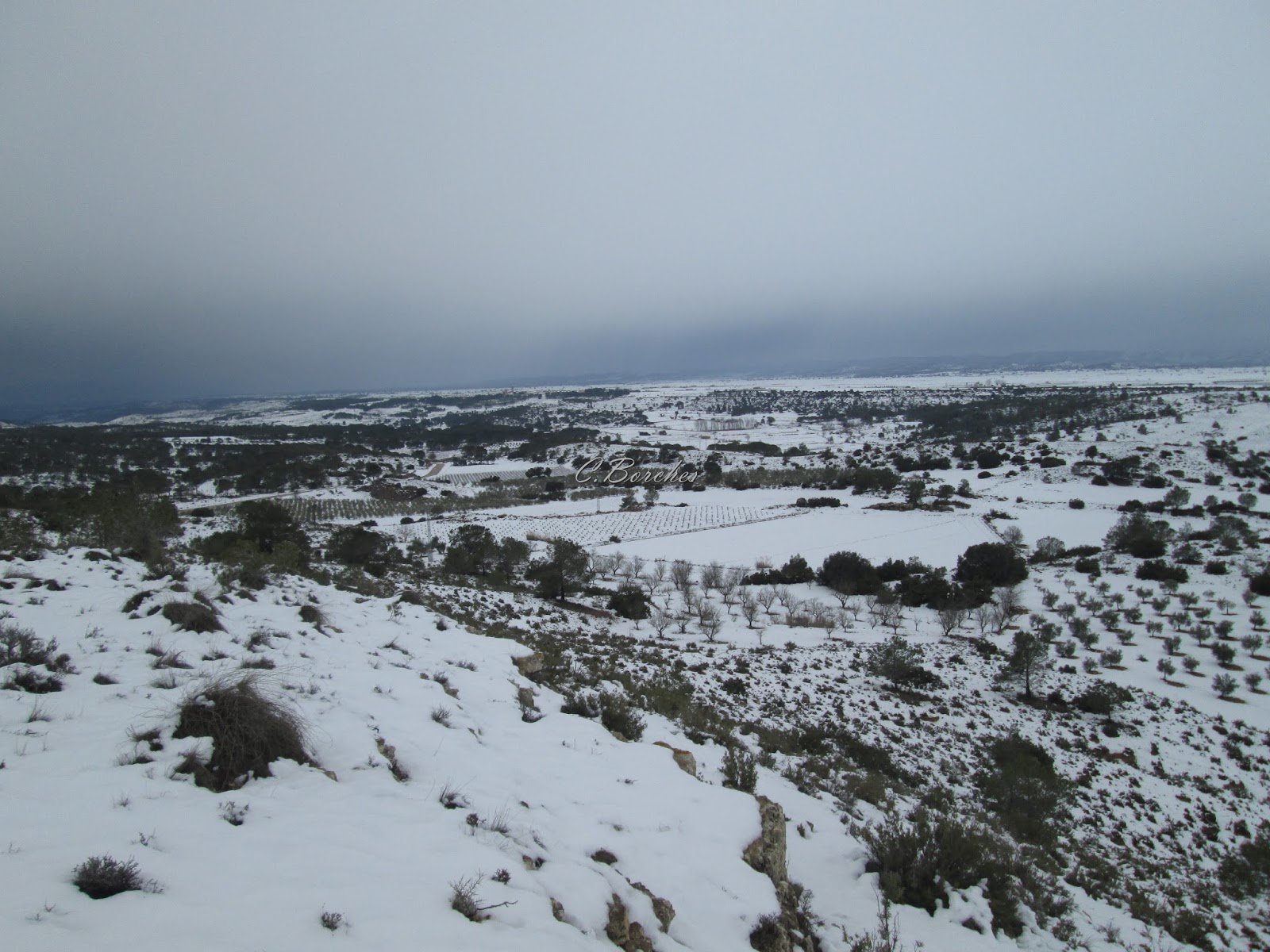 C.Borches Photography: Nevada Enero 2017 en Alborea (Albacete)