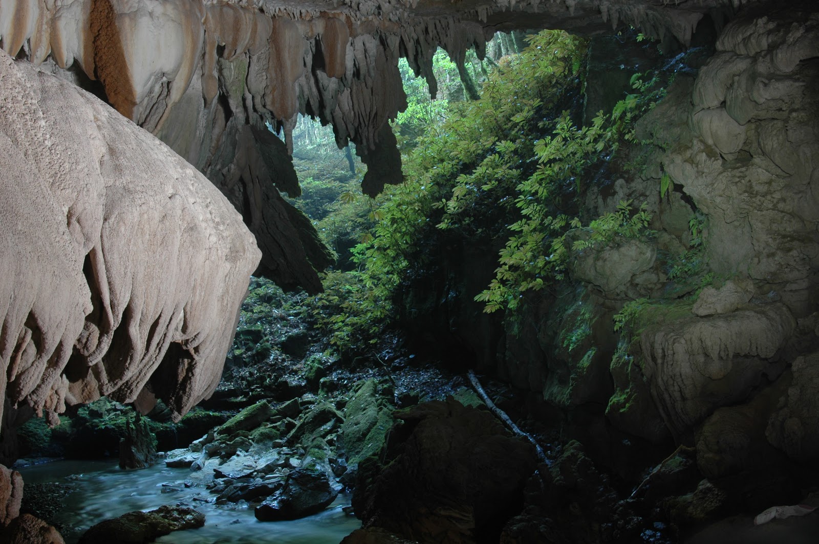 Wanderlust: Waitomo Caves