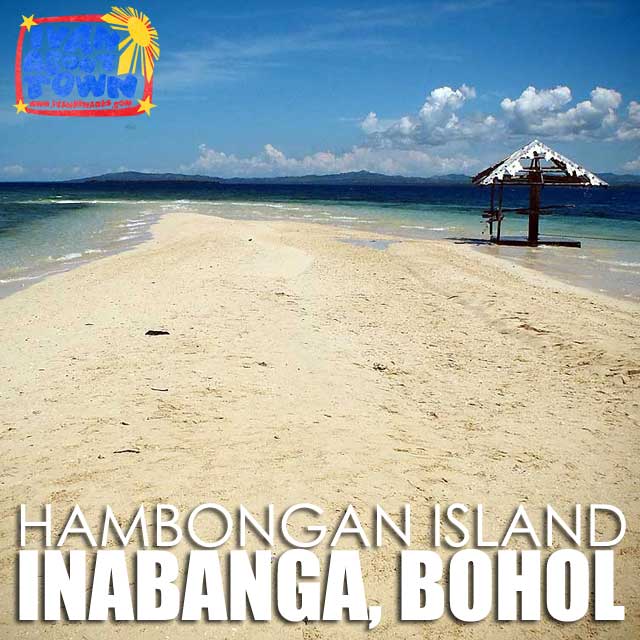 Bohol: Rare Pride Campaign launched for Inabanga's Hambongan Island ...