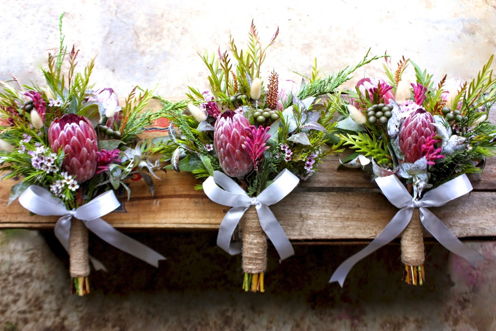 A Passion for Flowers: Grevillea Ivanhoe: A Fall Favorite