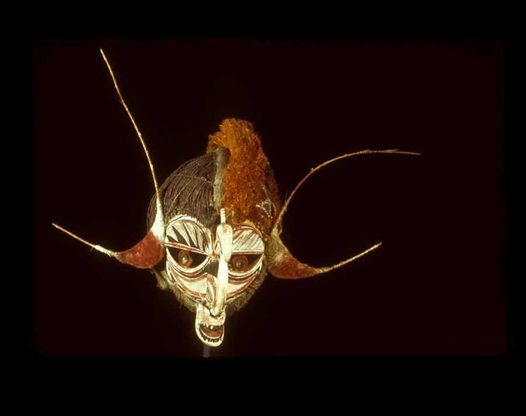 Playing D&D With Porn Stars: The Known Unknowns