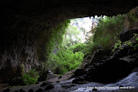 Hablando en verde: noviembre 2011