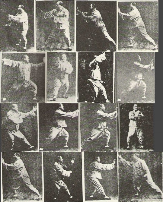 Mestre Yang Cheng-Fu