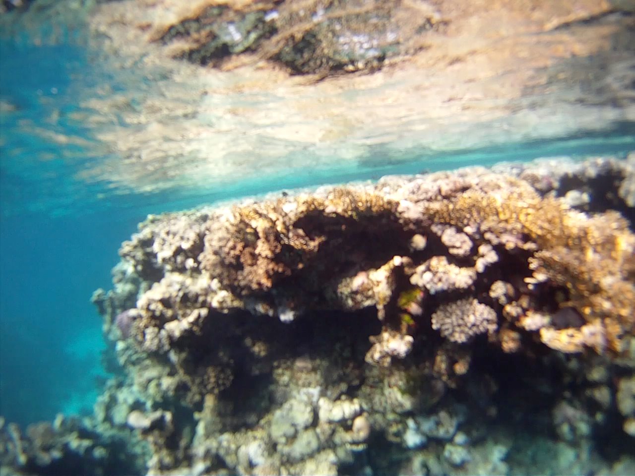 Glenn & Kelly's Saudi Adventure