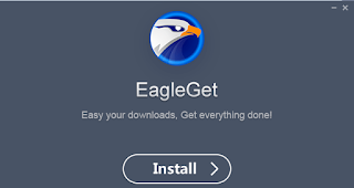 Eagleget Download Manager PC Software free Download - google it info