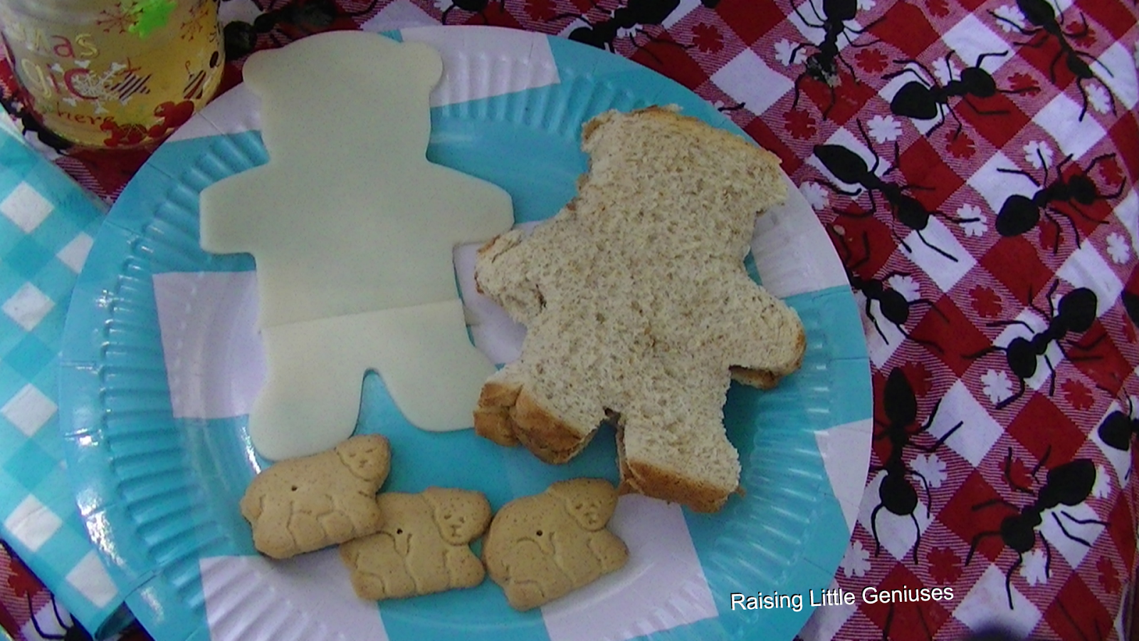 Raising Little Geniuses: Teddy Bear Picnic