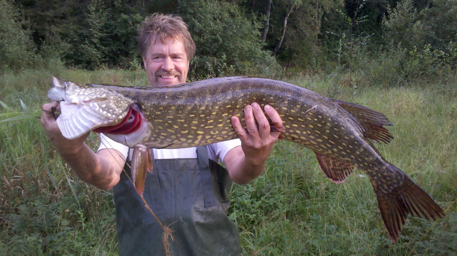 Jakt och Fiske: Fisk