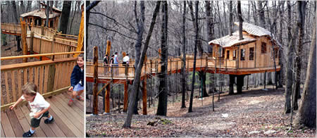 Extremely distinct expensive tree houses - twenty ranking