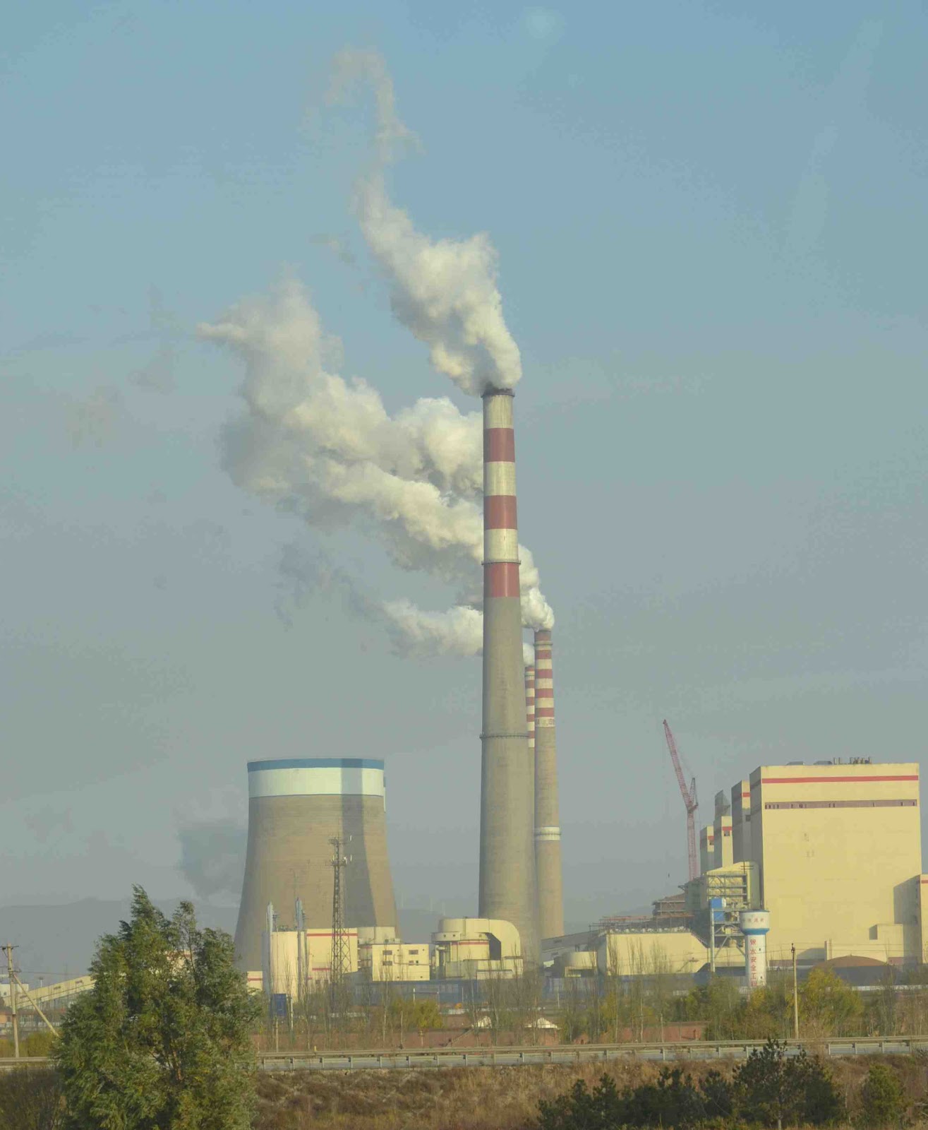 Earth Care Club: Mengapa Kelab Earth Care ditubuhkan?