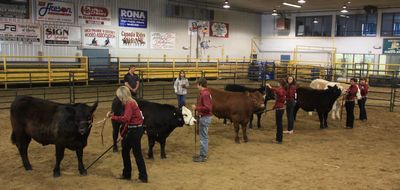 Predator Friendly Ranching : 4H Market steer project is... done.