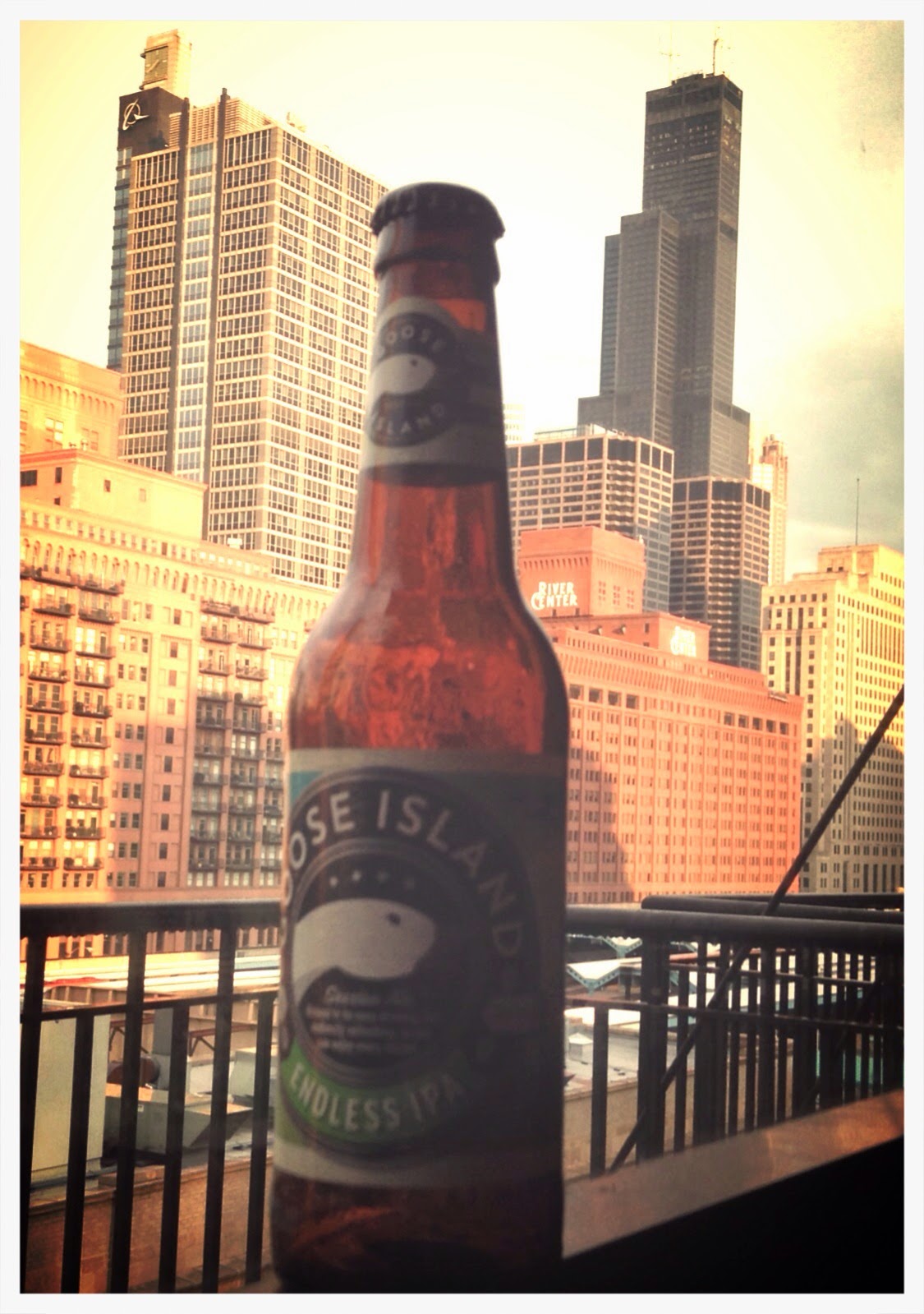 The Beer and Food Project: Leek and Gruyere Tart & Endless IPA