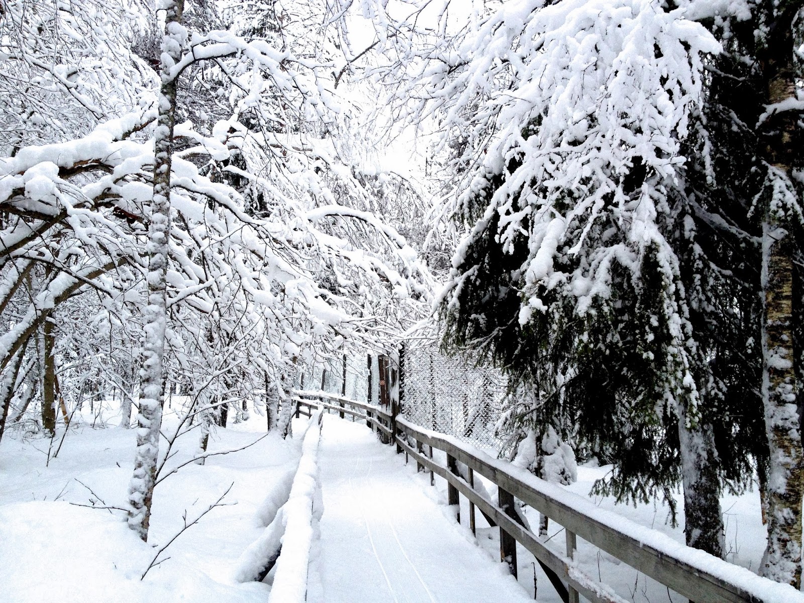 UN HIVER À HELSINKI: février 2014