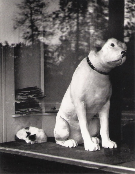 Los Grandes Fotografos: Alfred Gescheidt (1926-2012)