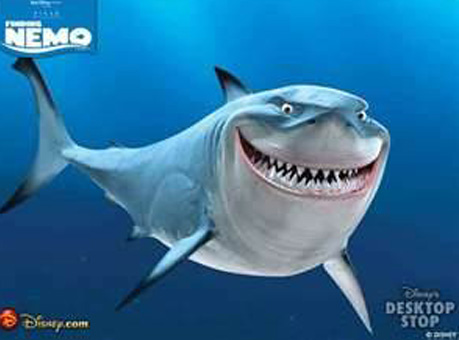 7 Disney Pixar Animal Bruce From Finding Nemo Cartoon Wallpaper
