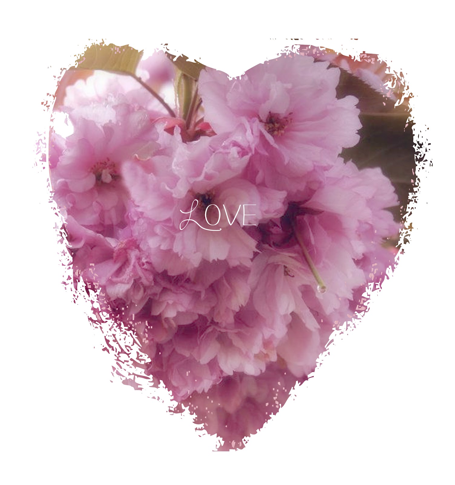 A SCRAPBOOK OF INSPIRATION: Pink Photograph Inspiration for a Pink Saturday