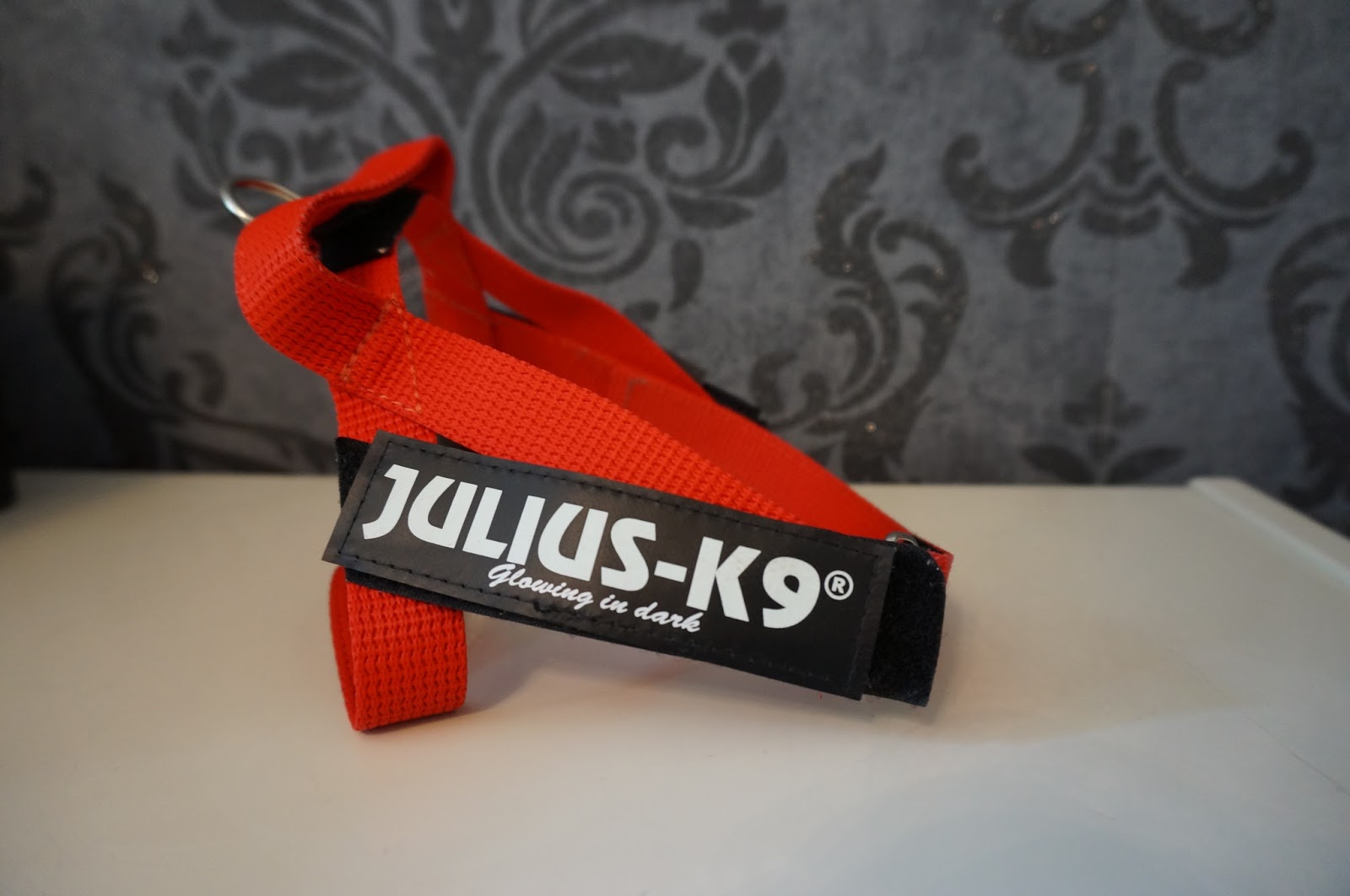 Lhasa Apso Mort: Jakie szelki dla lhasa apso i shih tzu, recenzja Julius K9