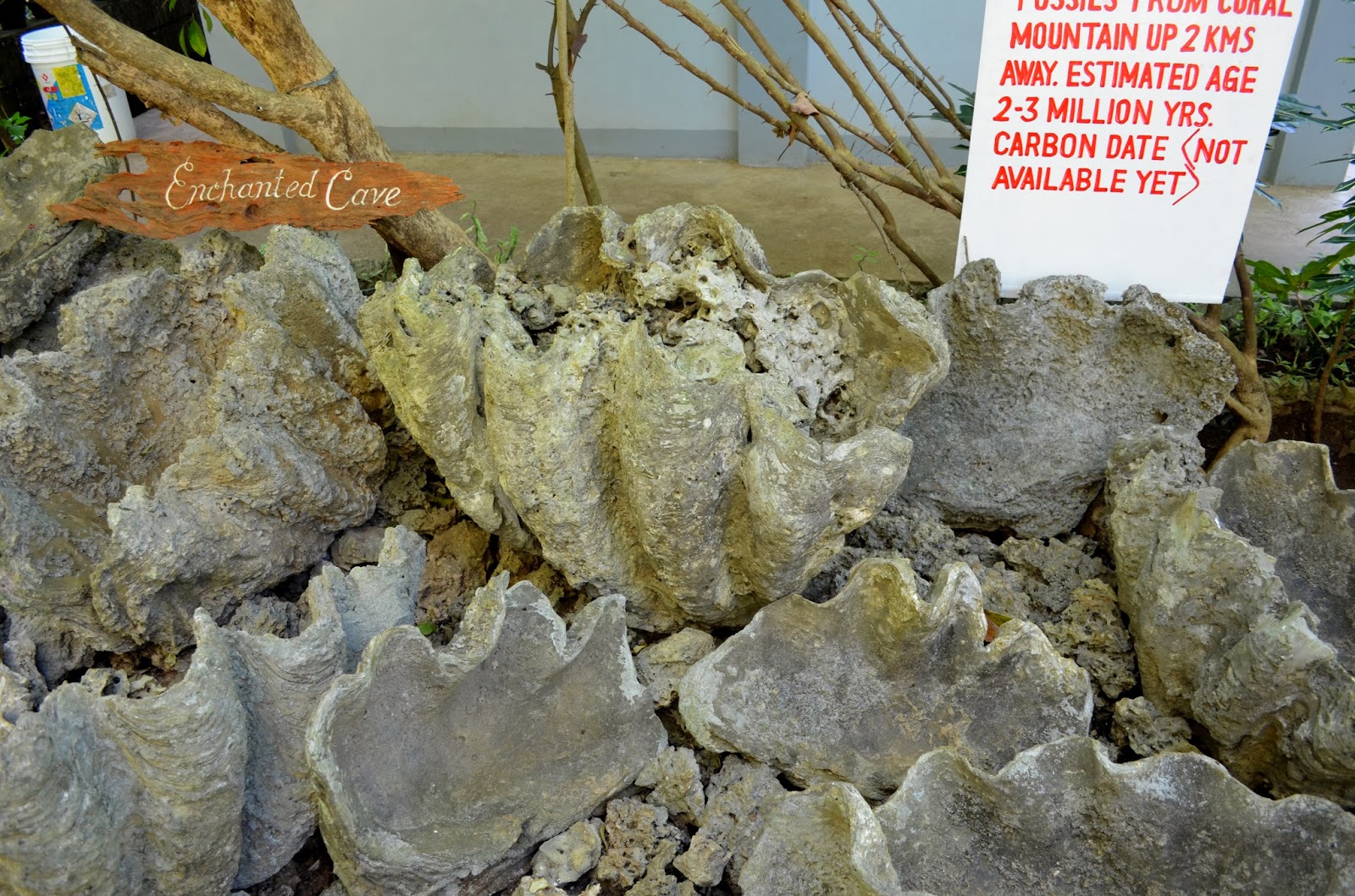 H E L L O ♥ K I M M Y : Enchanted Cave, Bolinao