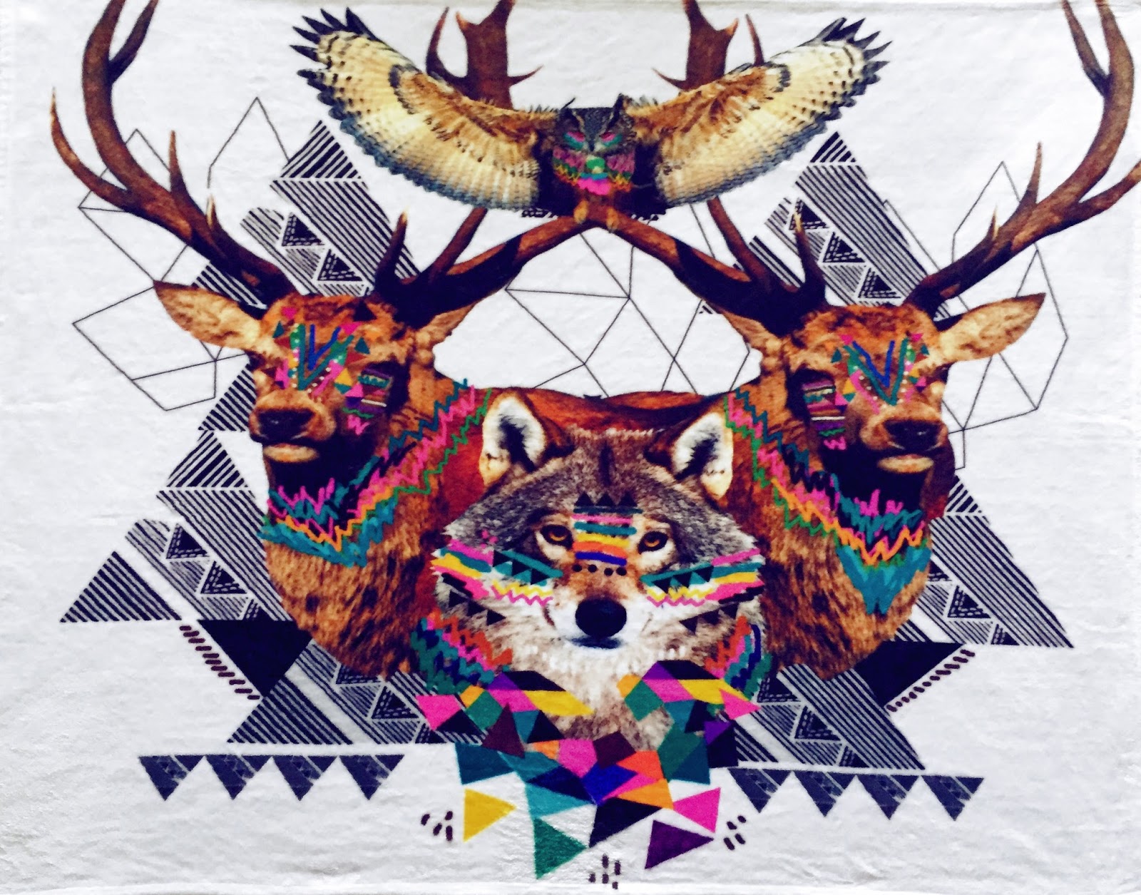 The Red Fox Strikes Again: Urban Outfitters Apartment Merch Haul