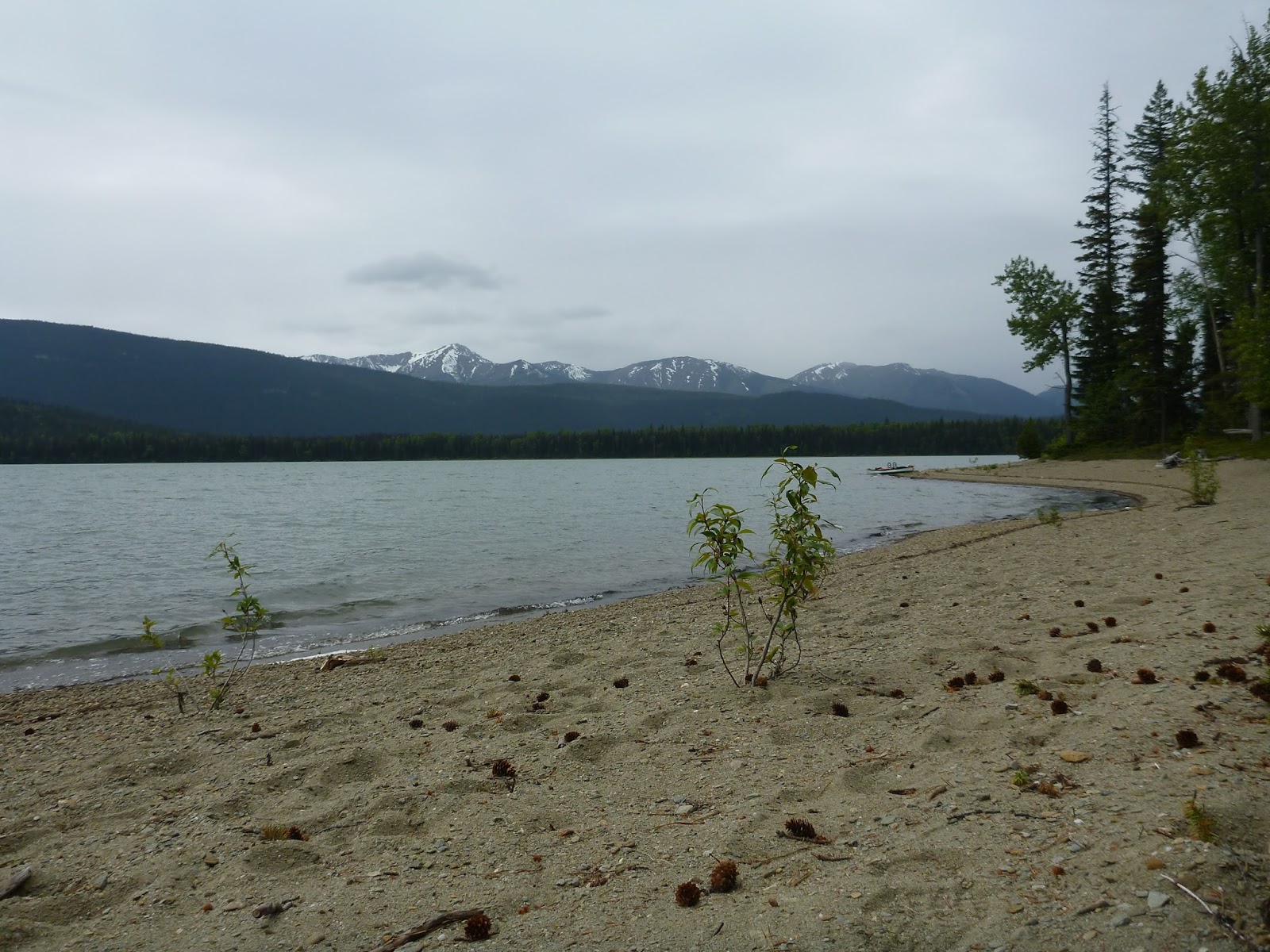 Beyond the Skyline: Bowron Lakes Chain: Am I a Proper Canoeist Now?