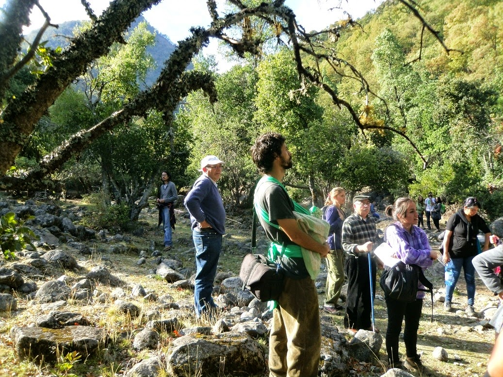 Cuadernos de la ira: Guindo Santo / Crónicas de San Fabián de Alico