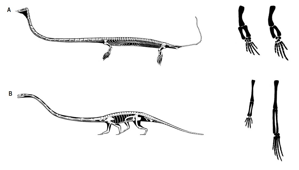 Made in Pangea: diciembre 2015