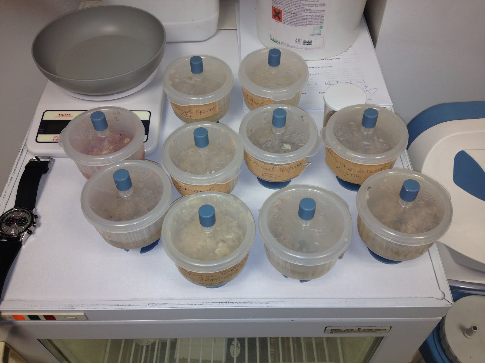 Dr. Fernando Gómez Sancha - English: Surgeries in Sofia and New Piranha ...