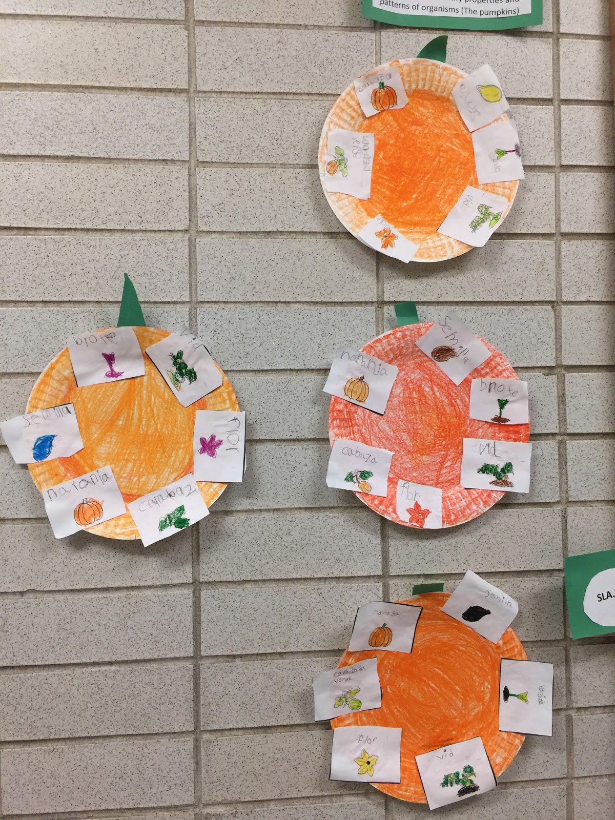 baul de ilusiones: Proyecto: Todo sobre las calabazas