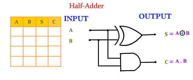 Your Mentor: GALLERY