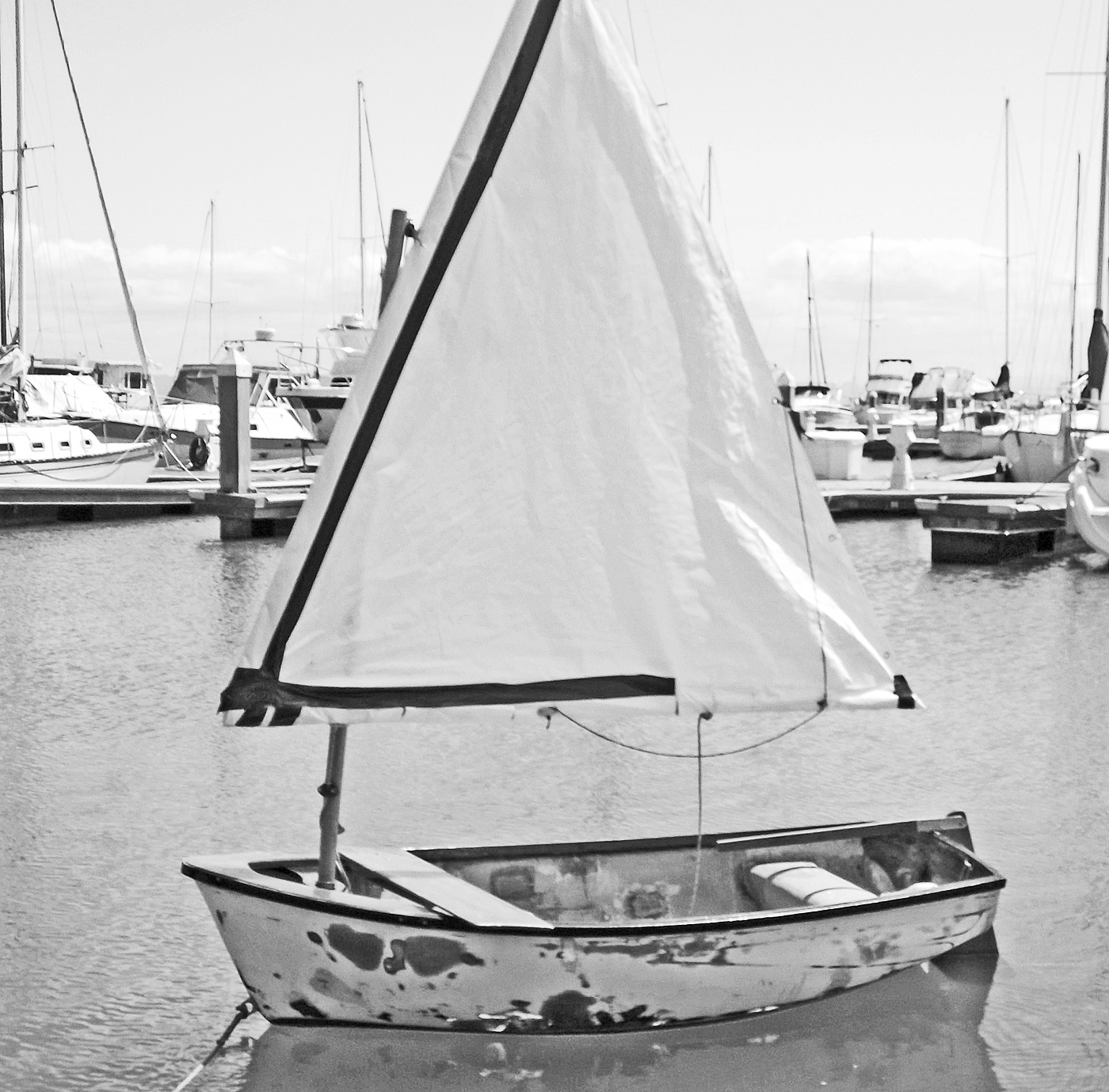 Earwigoagin: Update on the California Jester Dinghy