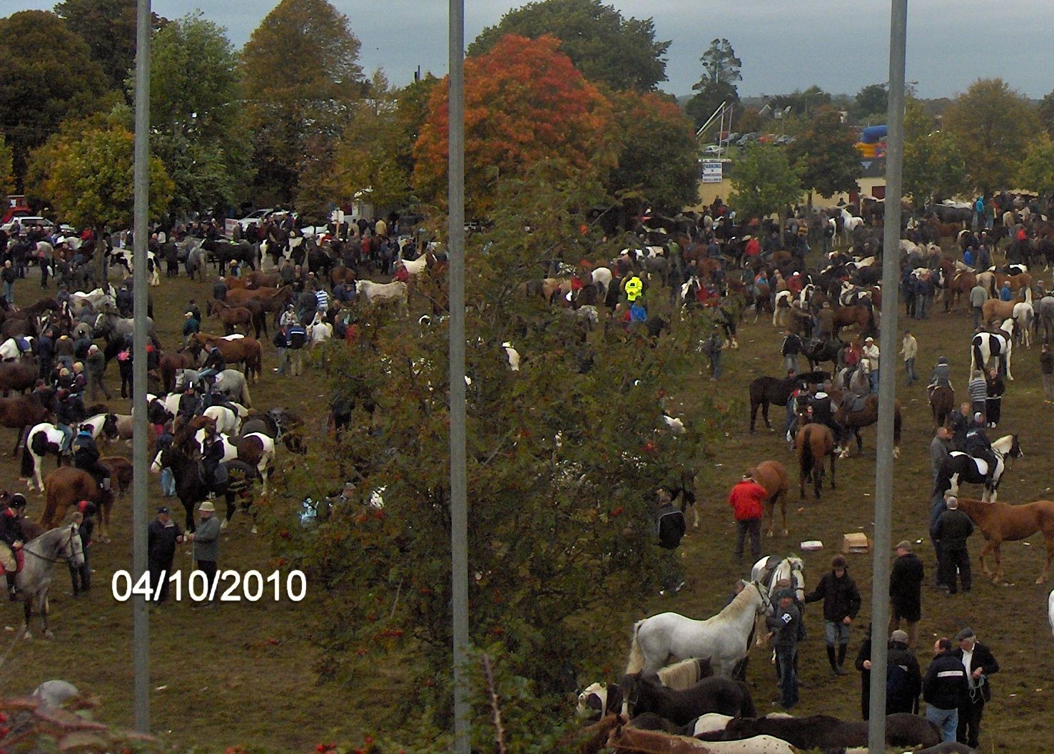 Speedie's Blog: Ballinasloe Horse Fair