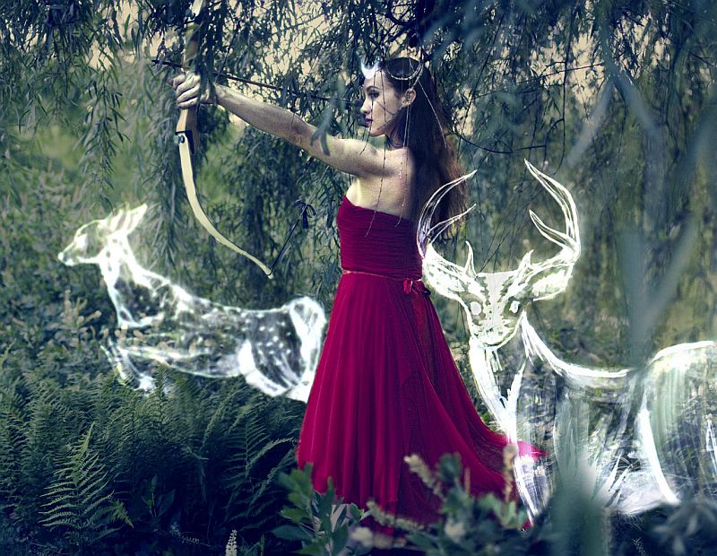 El Hurgador [Arte en la Red]: Aliza Razell [Fotografía]