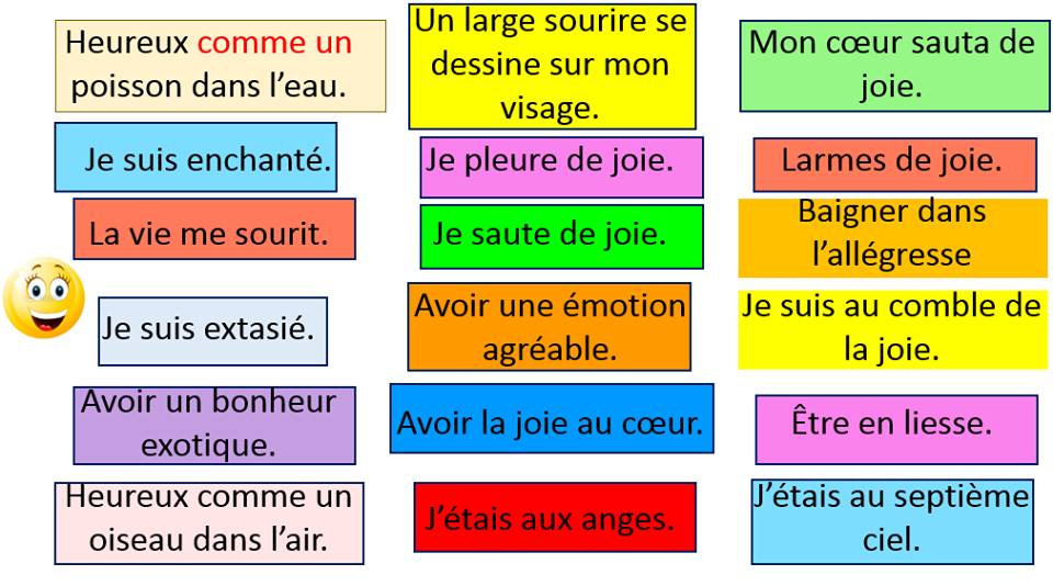 les expressions de sentiments - موارد المعلم