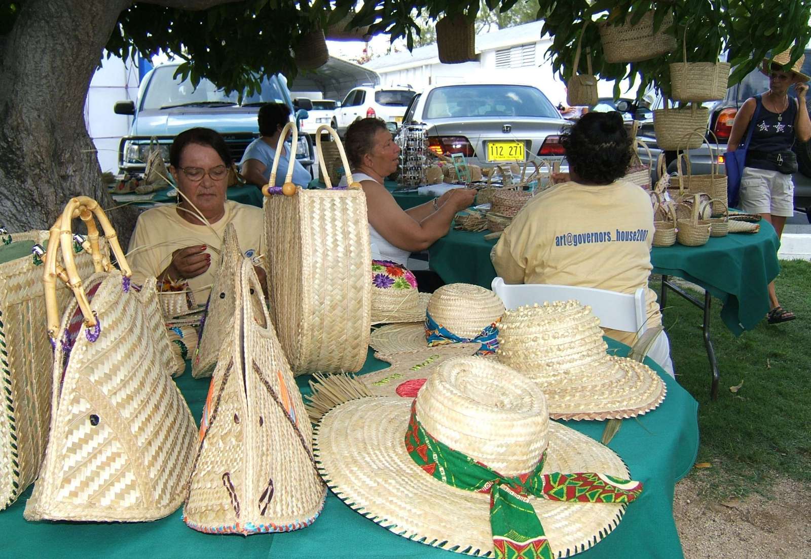 CaymANNature: Cayman Google Photos - Links to Ann Stafford’s albums