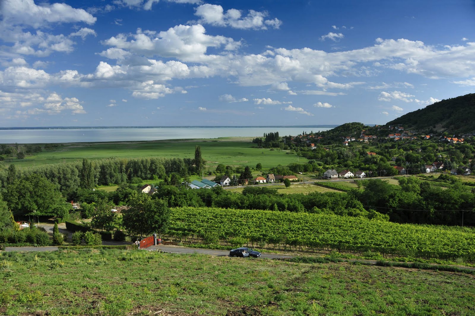Mester Tibor: Szigliget, Balaton
