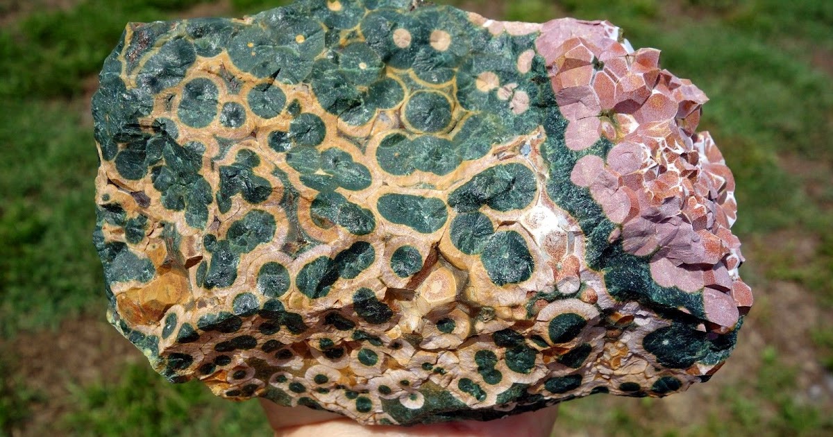 Natural Madagascar Orbicular Ocean Jasper - Geology In