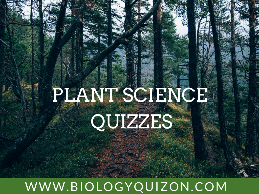 Plant Science Multiple Choice Quiz Questions and Answers